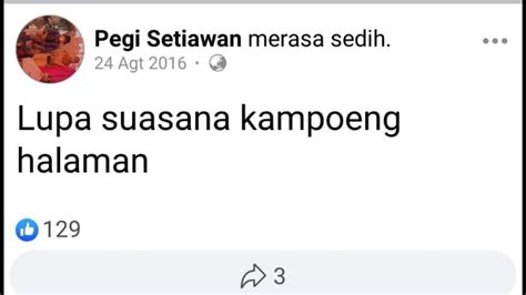 Pegi Penyidik Meminta Password Facebook Status Facebook Pegi Hilang
