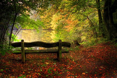 Hintergrundbilder Sonnenlicht Landschaft Wald Fallen See Wasser