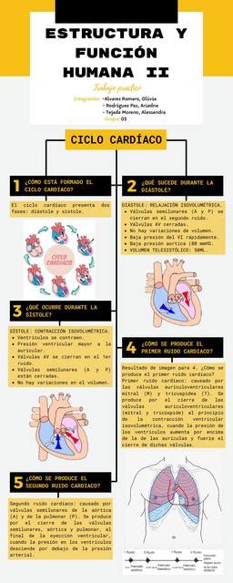 Ciclo Card Aco Alessandra Tejada Moreno Udocz