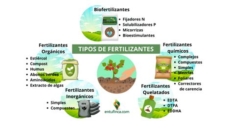 Todo sobre tipos de fertilizantes qué son y uso Marketplace entufinca