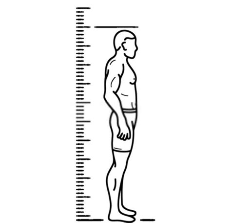 Height Conversion Table From Feet To Inches Elcho Table