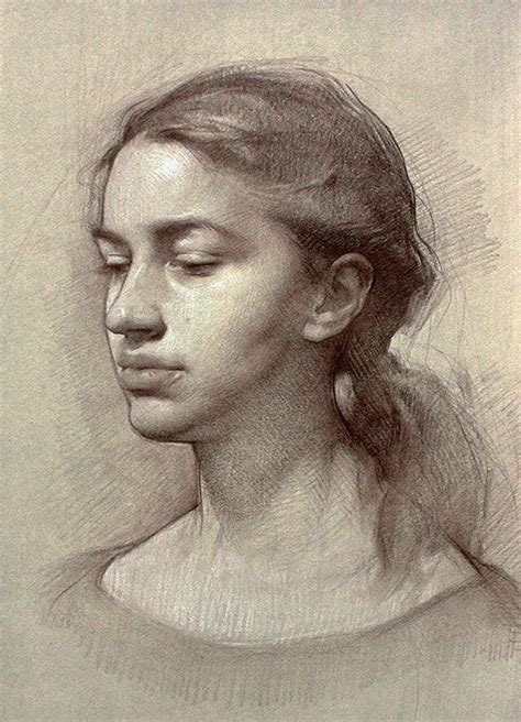 Drawing Anatomy Art Timeline Drawings Portrait Drawing Portrait