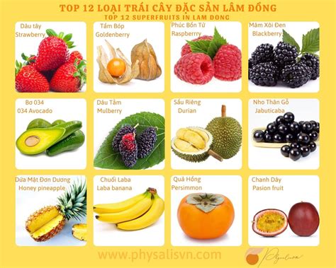 20 Loại Trái Cây Nhiều Hạt Khám Phá Những Loại Trái Cây Độc Đáo Và Bổ