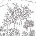 40 Desenhos De Pomar Para Imprimir E Colorir Pintar