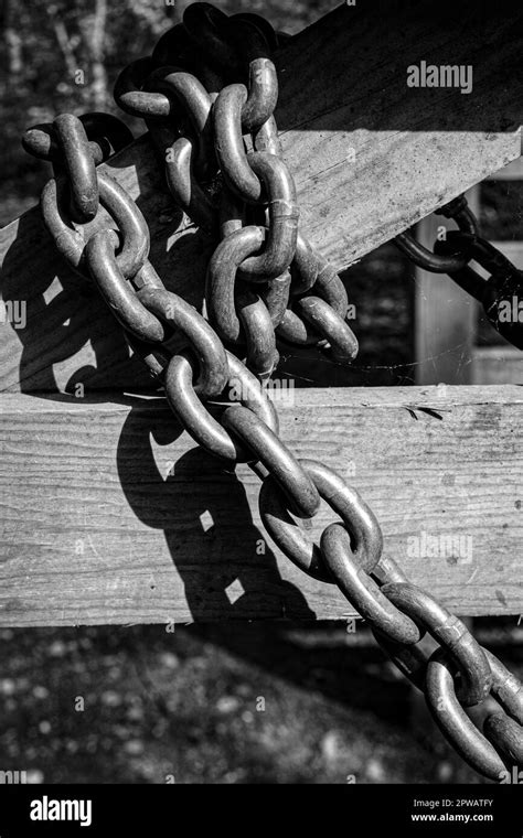 Large Metal Chain Wrapped Around A Wooden Gate Concept Strength Security Bound Wrapped Up