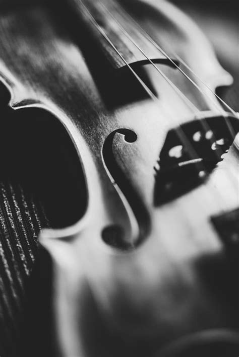Violin Facts Ted S List