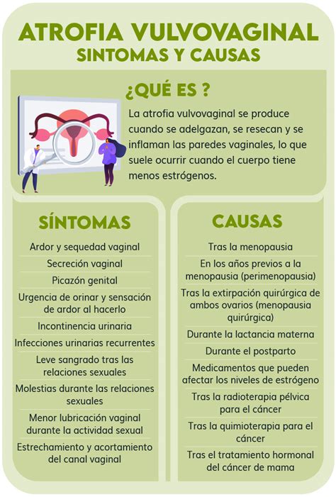 Atrofia vulvovaginal qué es síntomas y causas DKV