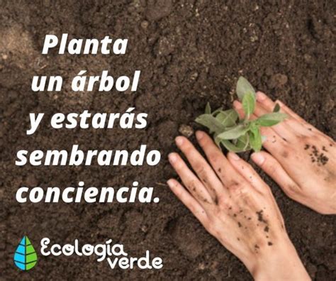 Las mejores frases de cuidar el medio ambiente que te motivarán