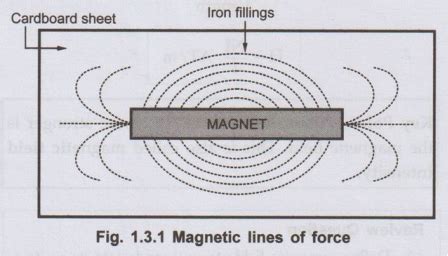 Shape Of Magnetic Field Lines
