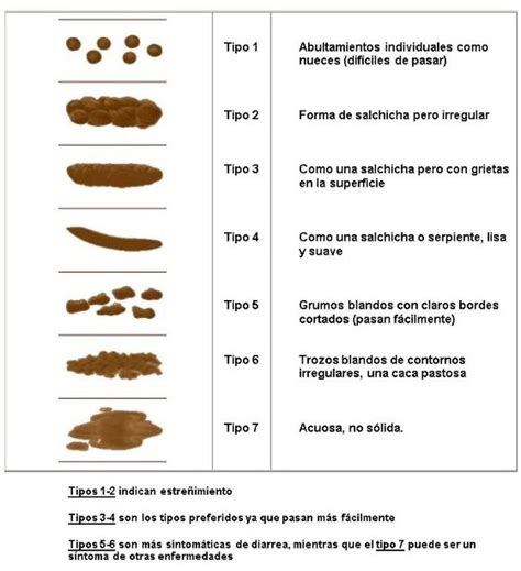 Los colores y formas de las heces y su significado Vida Lúcida