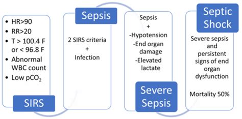Sepsis Flashcards Quizlet