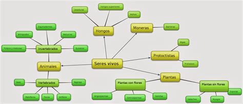 Mapa Mental Seres Vivos
