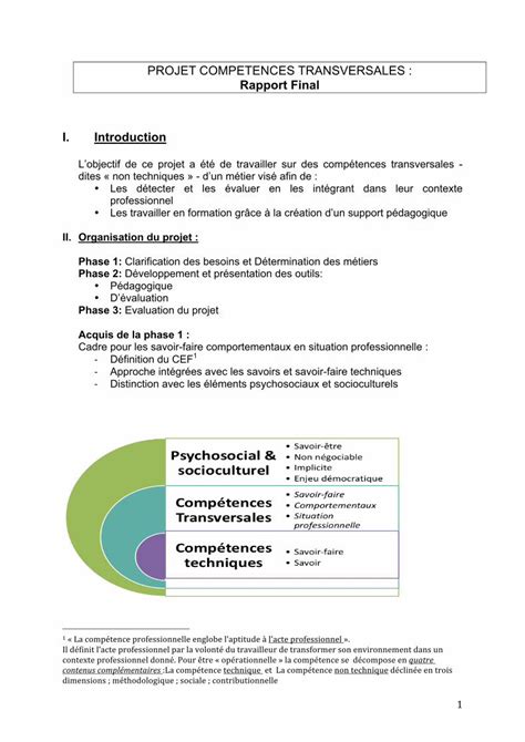 PDF PROJET COMPETENCES TRANSVERSALES Rapport Opc Sfc Eu IMG Pdf