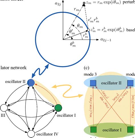 a modal oscillator model in complex space and b oscillator network download scientific