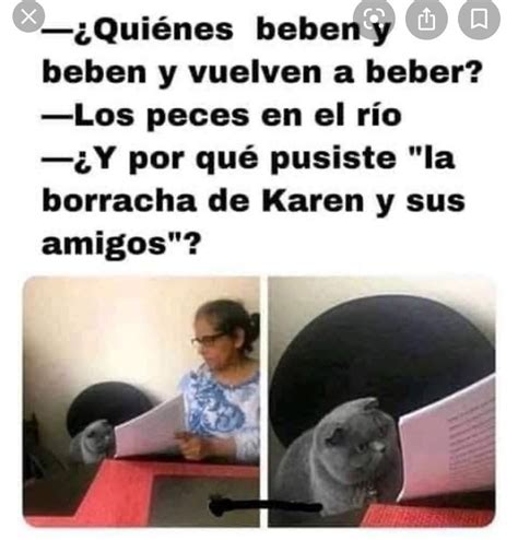 Memes de karen y el gato parte 5 Memes en Español la mejor
