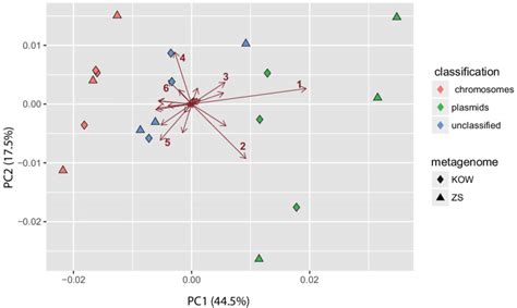 principal component analysis pca plot showing the variation between download scientific