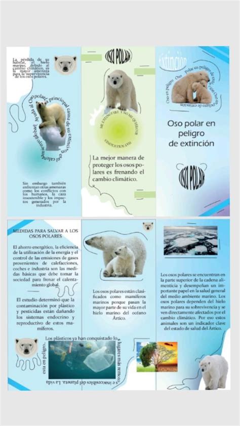 Tríptico de Oso Polar en peligro de extinción Oso polar Polaroid