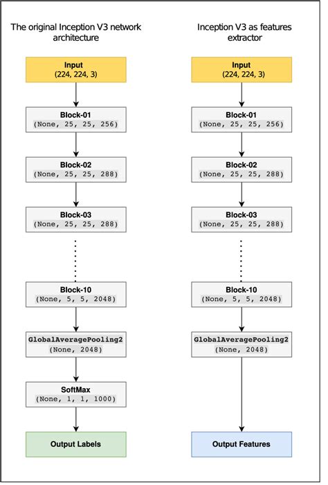 transfer learning approach as a feature extractor left the original download scientific