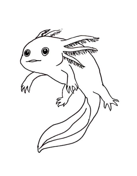 Axolotl Coloring Pages Free Printable Pdf