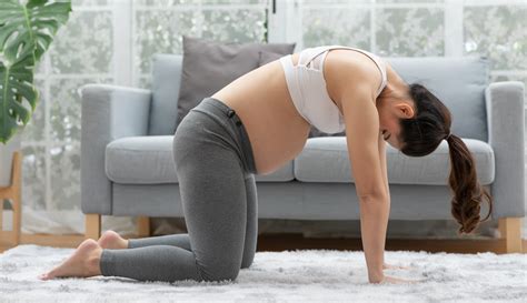 Best Stretches For Lower Back Pain Cheapest Buy Save 40 Jlcatj Gob Mx