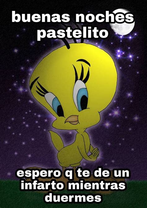 piolin te desea buenas noches en 2023 Imágenes divertidas Frases
