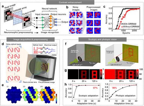 nanomaterial based synaptic optoelectronic devices for in sensor preprocessing of image data