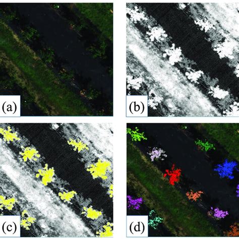 hyperspectral image processing procedure a raw rgb image b download scientific diagram