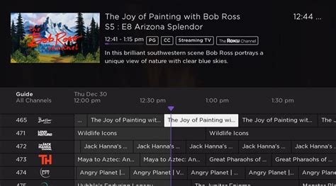 Roku Live Tv Channel Guide Printable