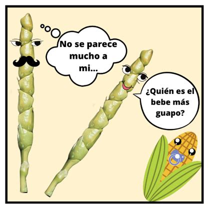 Imagen Arvensis Agro