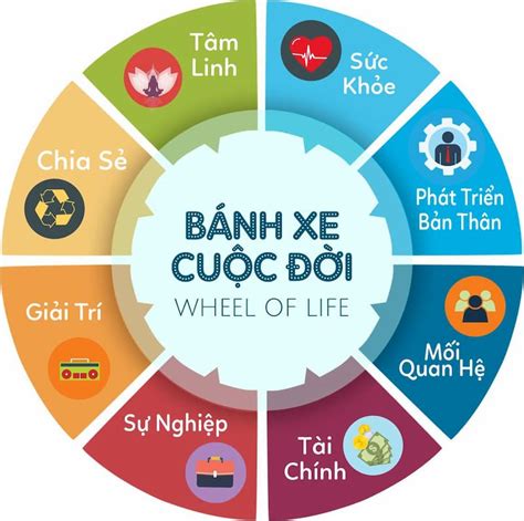 Bánh xe cuộc đời là gì Cách áp dụng thông minh để cân bằng cuộc sống