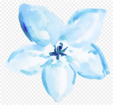 Png Png