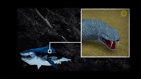 Megalodon VS Titanoboa YouTube