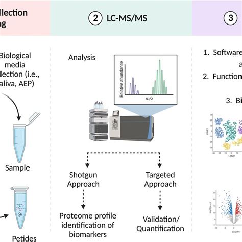 Schematic Depiction Of Mass Spectrometry MS Based Approach Utilized