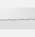 Horizontal Torn Paper Edge Ripped Squared Vector Image