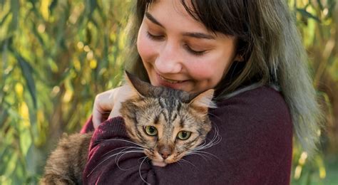 La Figliastra Incinta Fa Uscire Fuori Il Gatto Della Matrigna Lei La