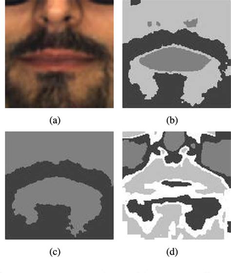 figure 10 from lip segmentation under map mrf framework with automatic selection of local