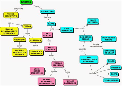 Mapas Conceptuales Mind Maps Y Science Experiments Sentido De La Vista