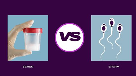 Semen Vs Sperm Mastering The Basics Ala Herbal Pharma