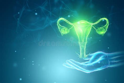 Holograma Del Rgano Femenino Del Tero Silueta Del Cuerpo Femenino