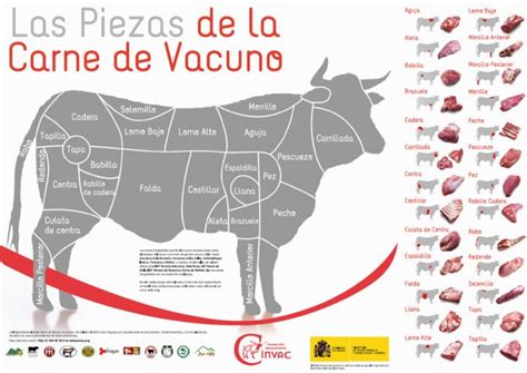 Reconoce Los Tipos De Carne Y Aprende Qu Carne Es Por Sus Distintas