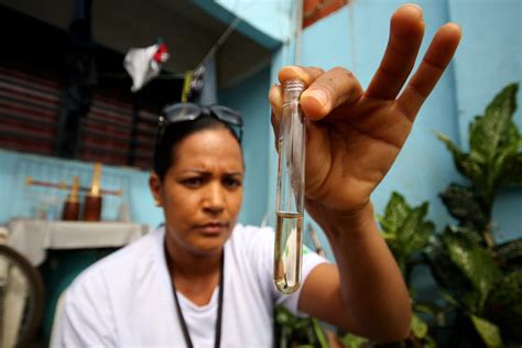 Dengue Zika E Chikungunya Tiveram Aumento De Casos No Brasil Nos