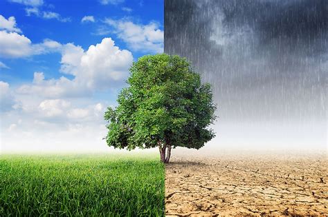 Difference Between Weather And Climate Diagram