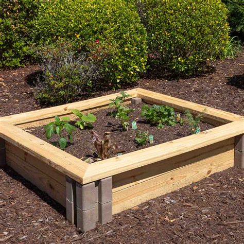 20 Raised Bed Planting Plan KalenPatronella