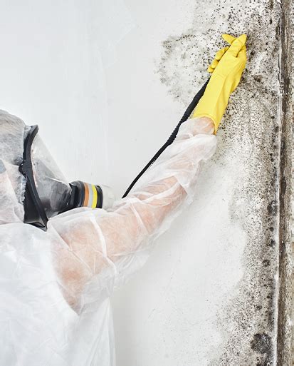 Professional Mold Inspection Services Biotek NYC