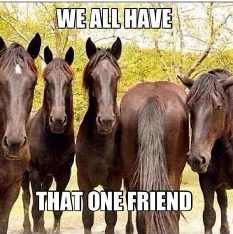 We All Have That One Friend Pictures Photos And Images For Facebook