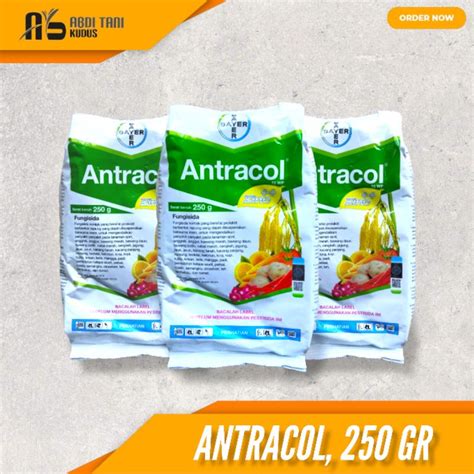Jual FUNGISIDA ANTRACOL 70 WP ZINC 250 GRAM BAYER Shopee Indonesia