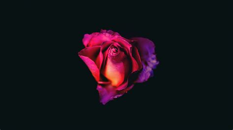 Best Hd Oled Wallpapers Wallpaper Cave