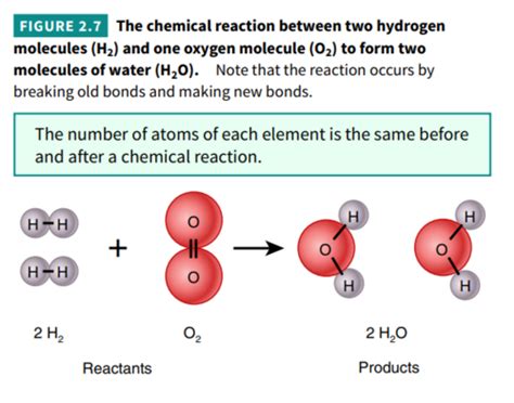AP Chapter 2 3 Chemical Reactions Forms Of Energy And Chemical