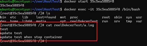 docker从入门到应用（五）：docker容器数据卷 docker create一个容器并挂在卷并且给权限 csdn博客