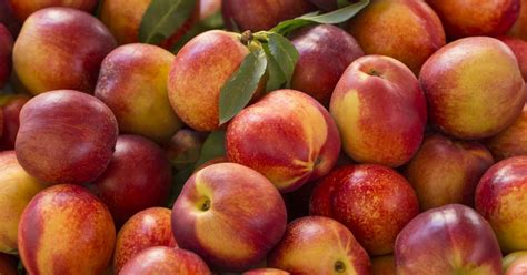 The Difference Between Peaches And Nectarines